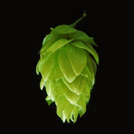 Hop Pellets - FNQ Homebrew - Craft Brewing Supplies